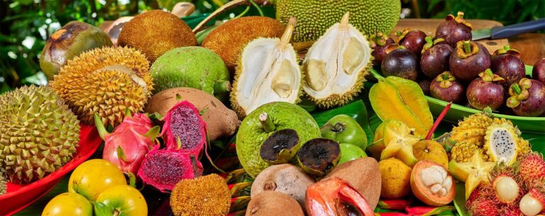 Cape Trib Farm - Tropical Fruit Tasting Tours & Farmstay